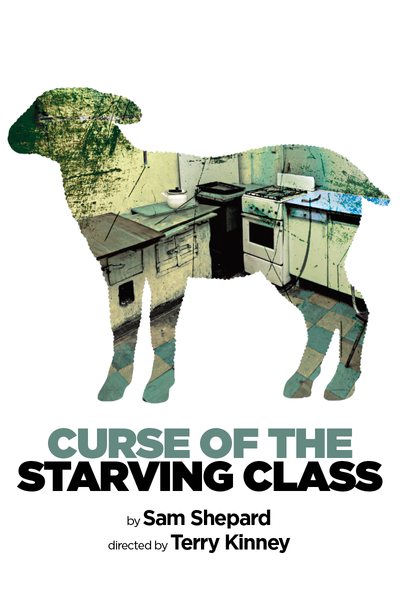 Show Score | Curse of the Starving Class NYC Reviews and Tickets
